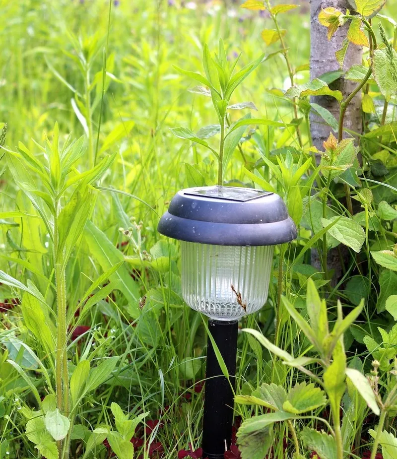 10 Best Outdoor Solar Lights for Your Home [2026]